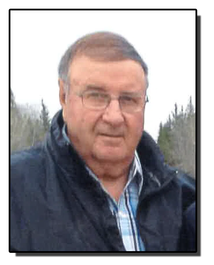 Harry Bruner | paNOW