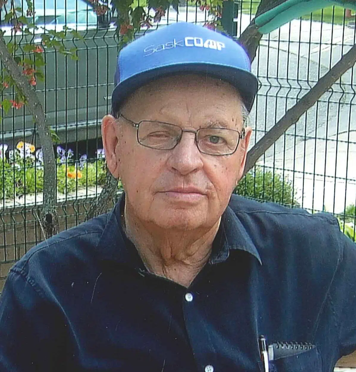 Harry Rogowski | paNOW