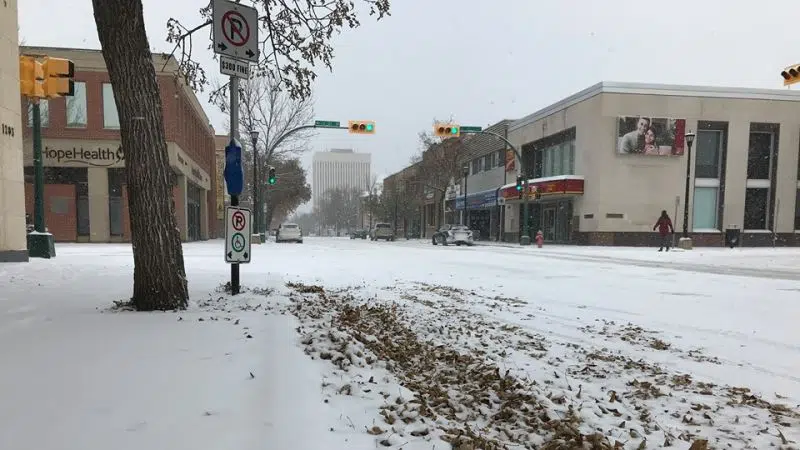 Snowfall warning: 10 cm of snow expected to hit Prince Albert region ...