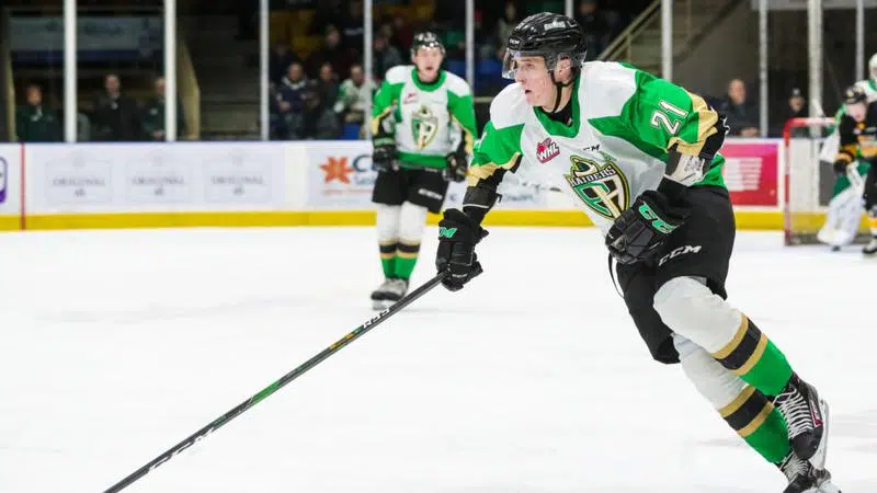 Protas, Schneider named first-team all-stars | paNOW