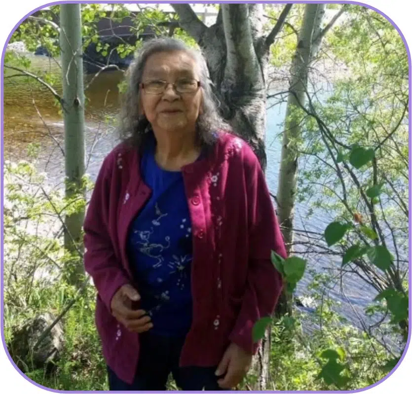 Lizette Olson | paNOW