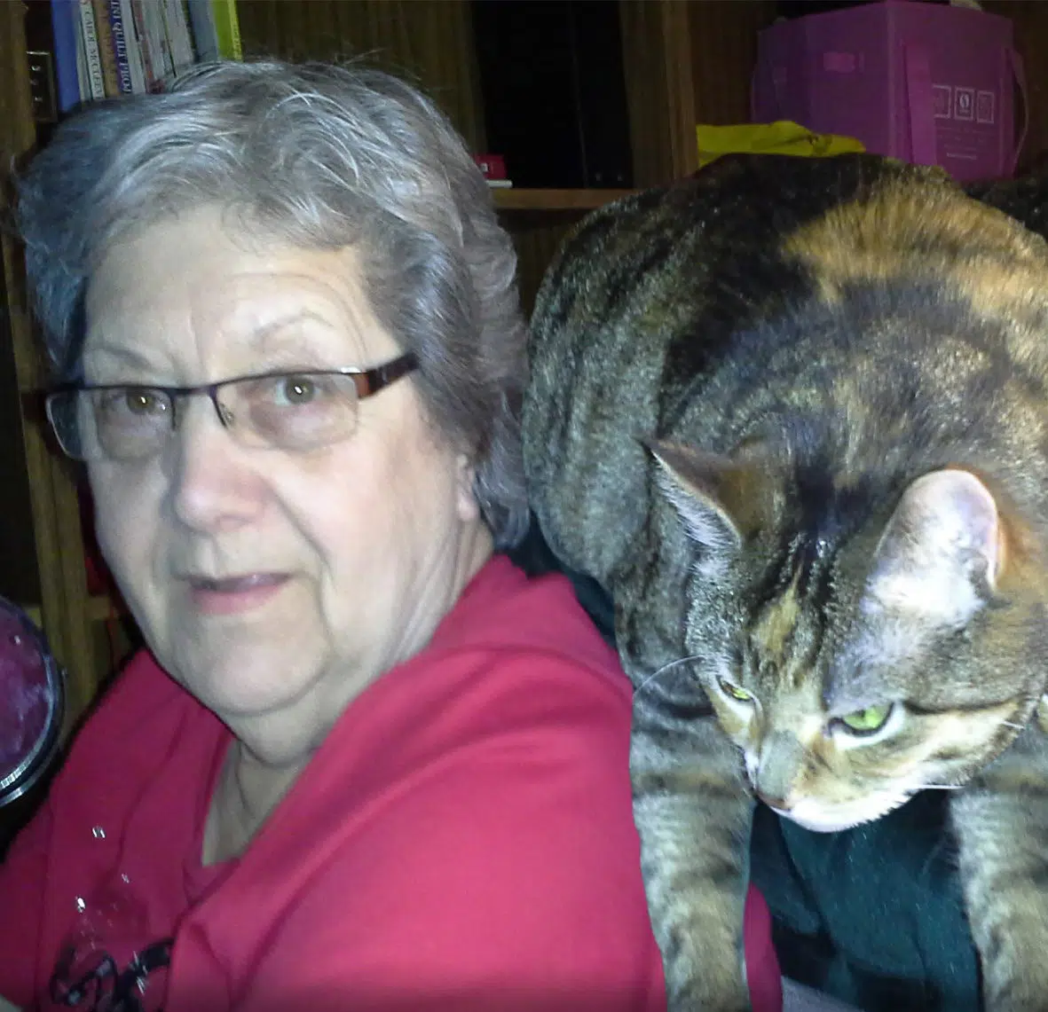 Evelyn Kukac | paNOW