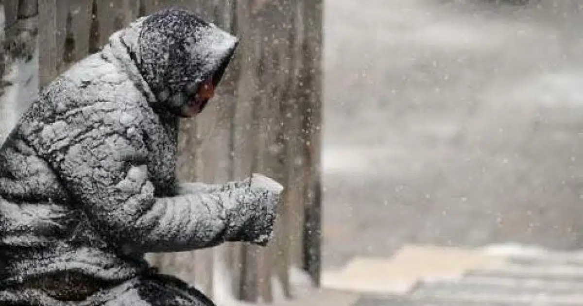 Mustard Seed launching 12 Days of Giving Campaign to help homeless ...