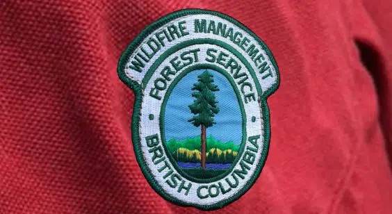 BC Wildfire Service aiming to transition to year-round service by ...