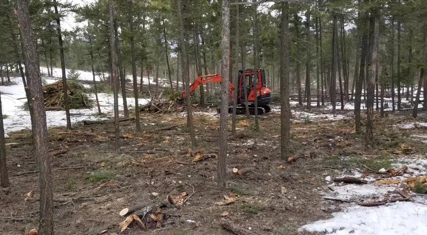 Kamloops nearing completion on wildfire fuel mitigation projects around ...