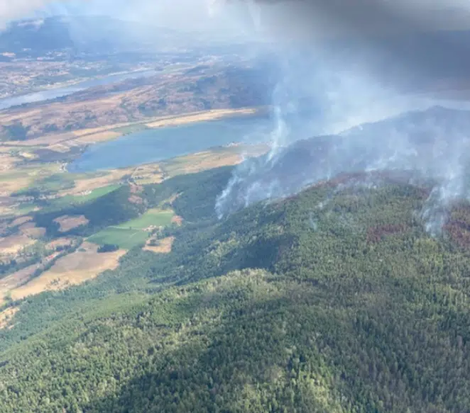 White Rock Lake fire between Kamloops and Vernon being held | Radio NL ...