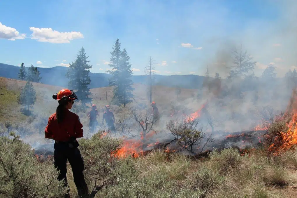 BC Wildfire Service to conduct burn trials in Lac Du Bois Grasslands ...