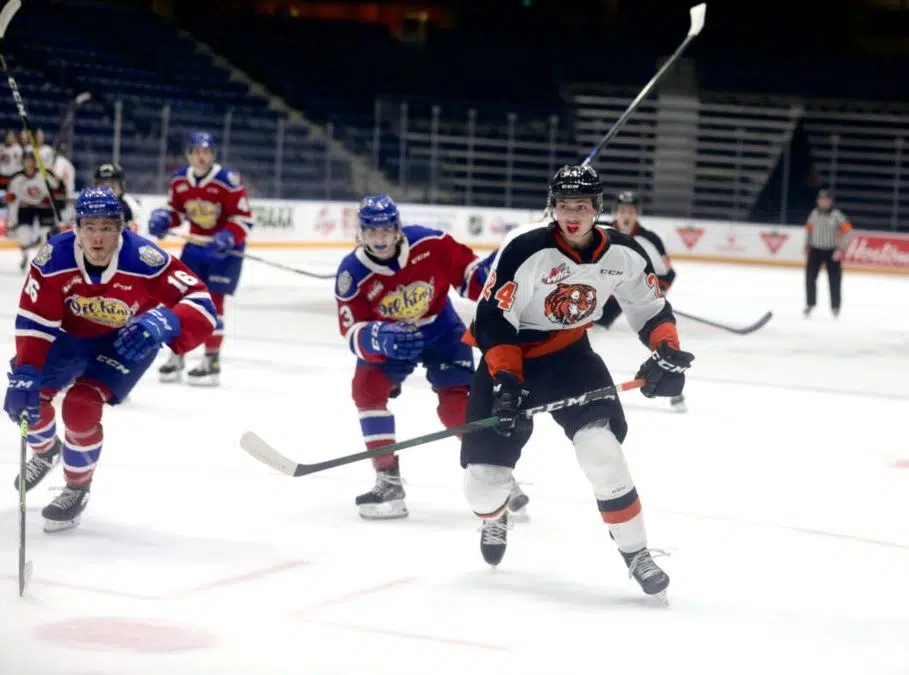 Blazers add depth forward Ashton Ferster from Medicine Hat | Radio NL ...