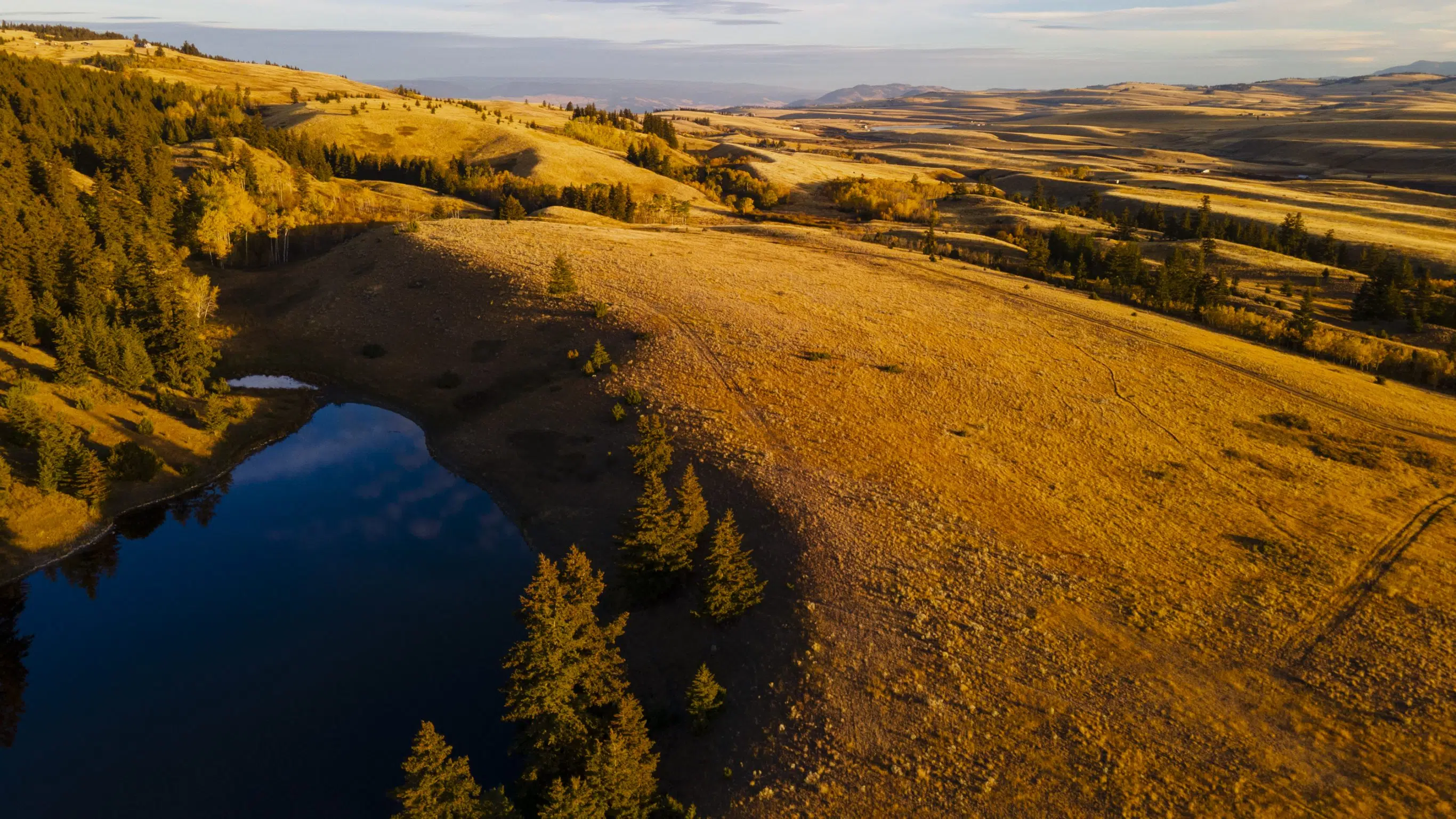 New environmental conservation area created south of Kamloops | Radio ...