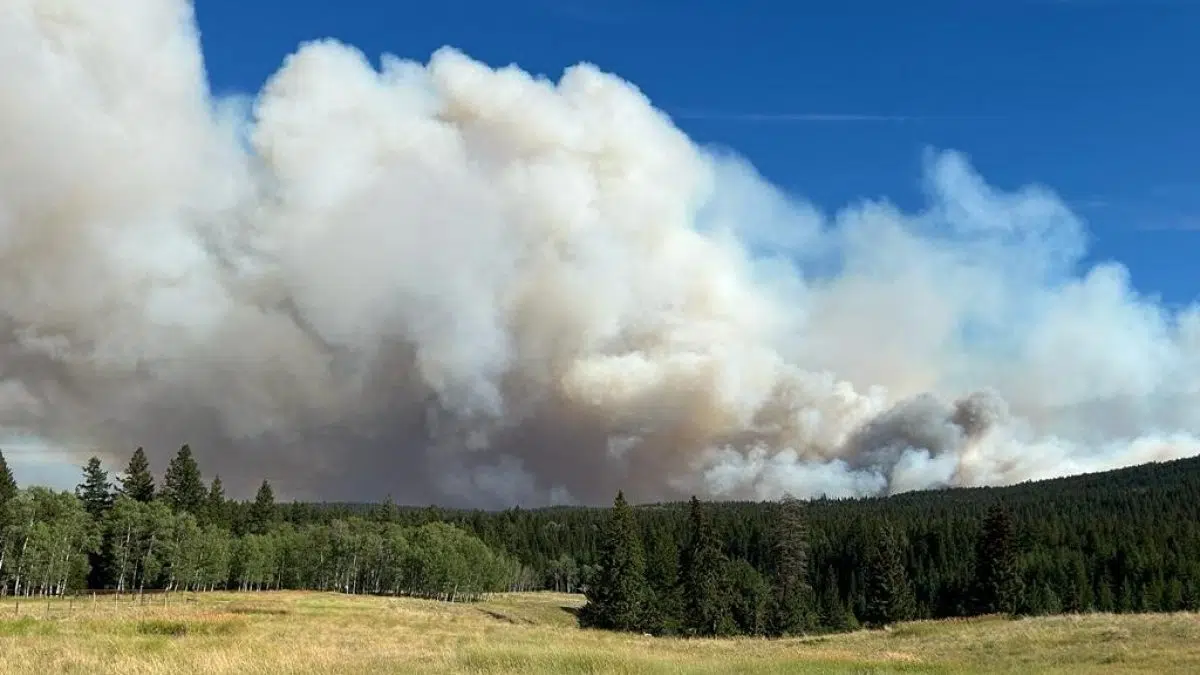 More evacuation orders issued as Ross Moore Lake fire southwest of ...