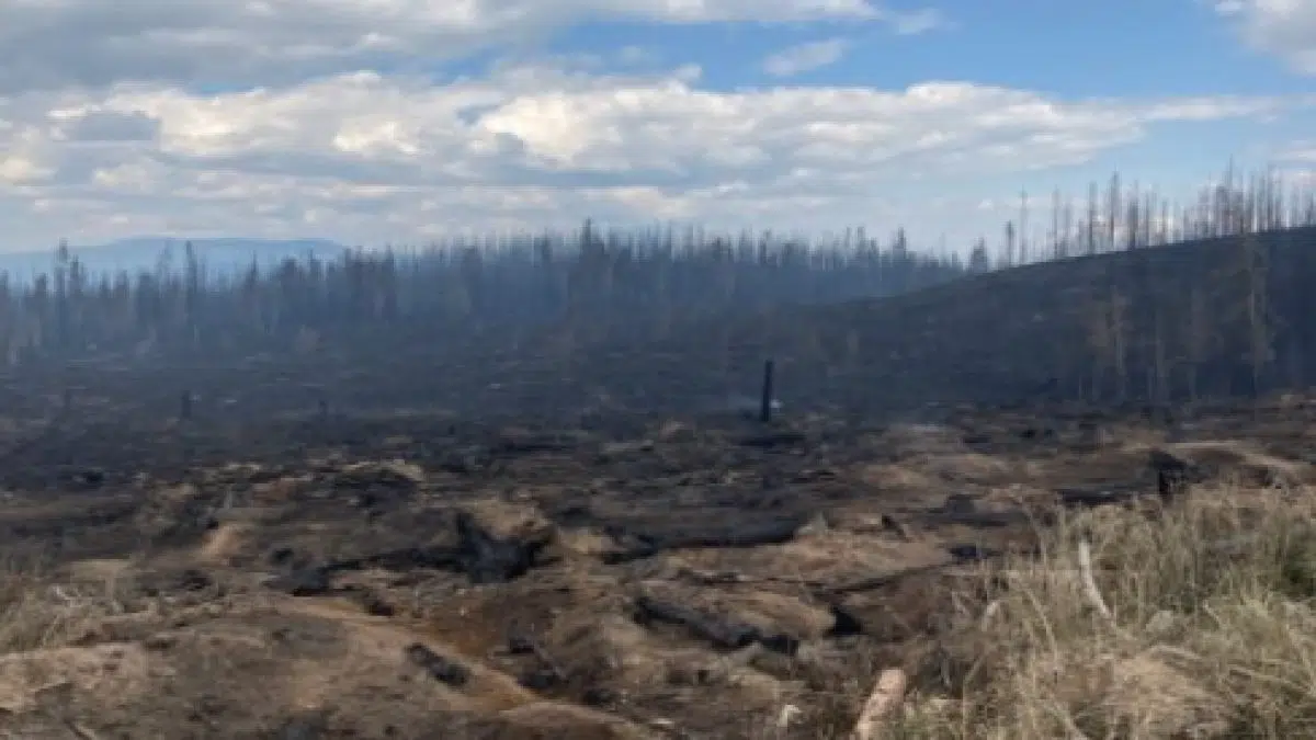 BC Wildfire able to update sizes of Adams Complex fires | Radio NL ...