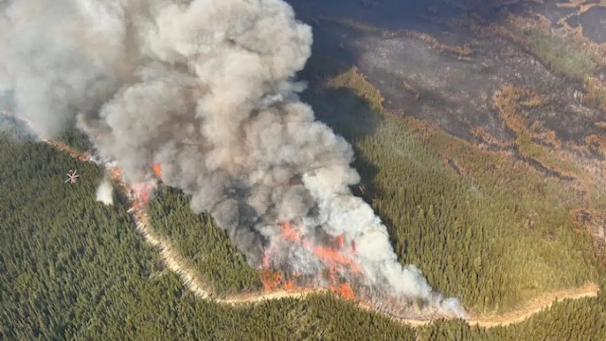BC Wildfire Service warns of ‘extreme’ fire behaviour due to heat wave ...