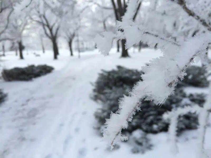 Regina Man Recounts Experience of Texas Cold Snap | 92.9 The Bull