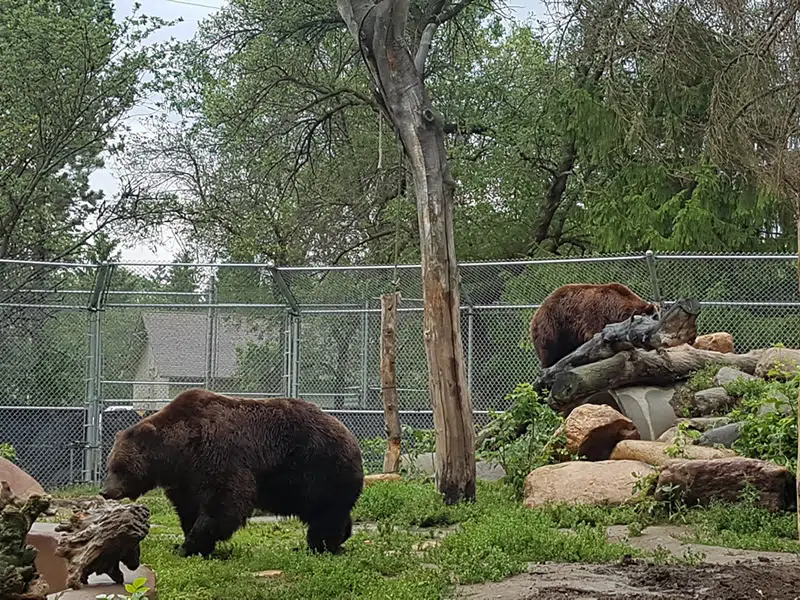 Largest private donation in history of Saskatoon Zoo made Friday ...