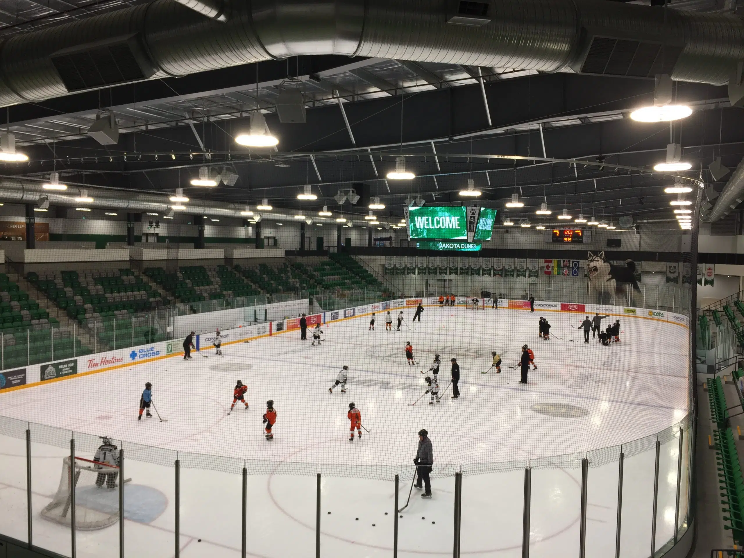 Huskie Women’s Hockey Team to Host U Sports Nationals in 2024 | Country ...