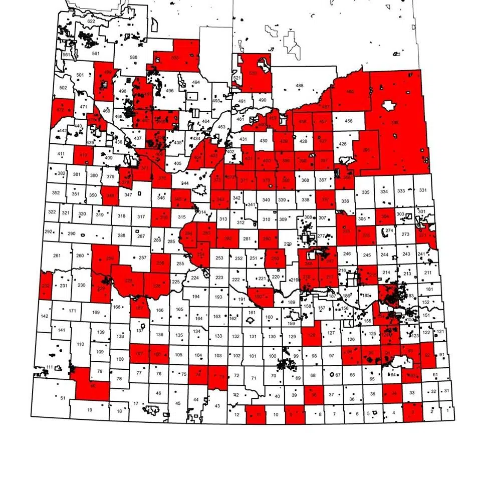 Researchers Look for Solution to Wild Pig Population | Country 600 CJWW
