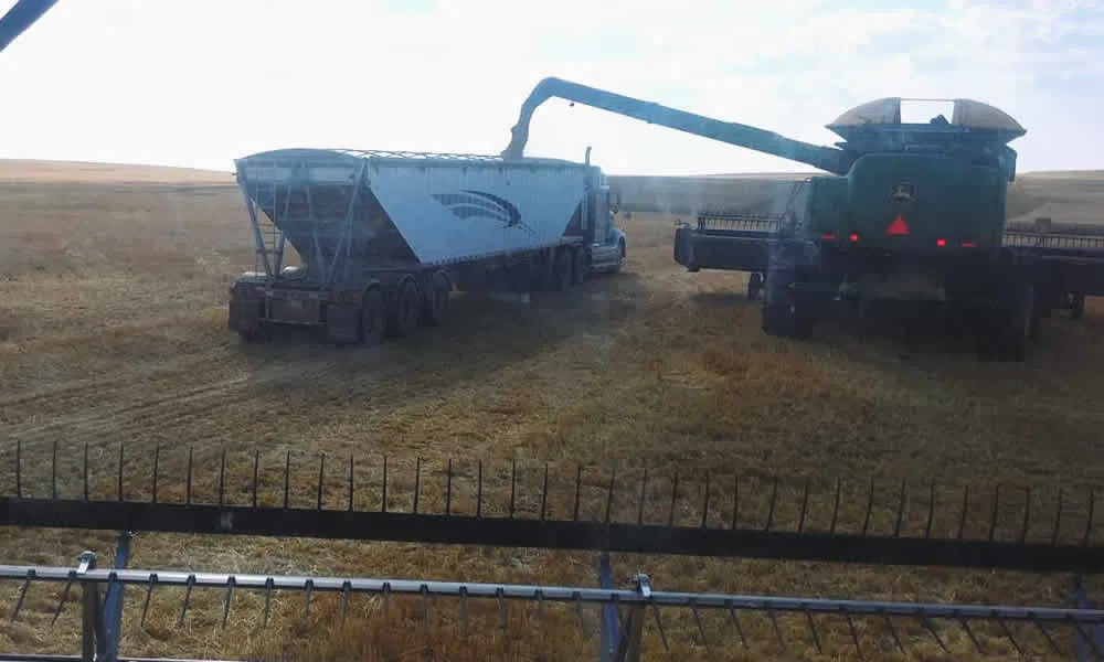 Semi Training Will Be Mandatory For Farmers Without Class 1 Licence ...