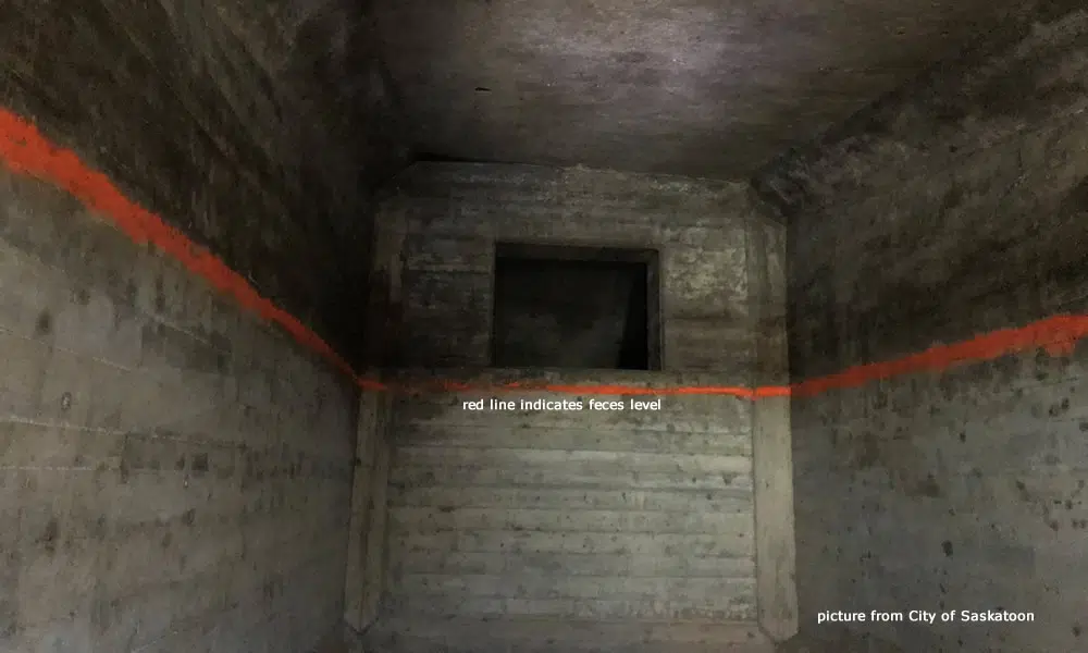 Over One-Million Pounds Of Pigeon Droppings In Sid Buckwold Bridge | 98COOL