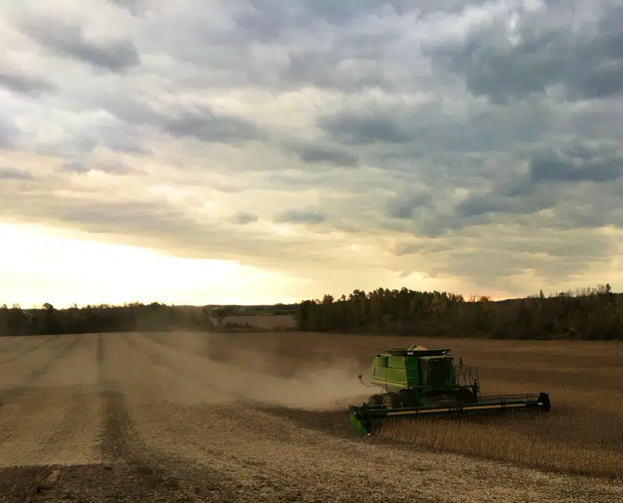 Seven Percent of Saskatchewan Crop Has Been Harvested | Country 600 CJWW