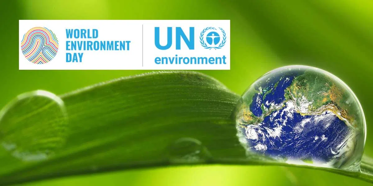 It’s World Environment Day | Country 600 CJWW