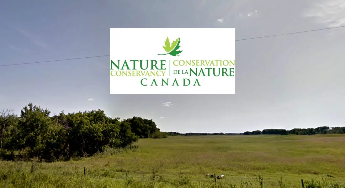 Nature Conservancy Canada Acquires More Land | Country 600 CJWW
