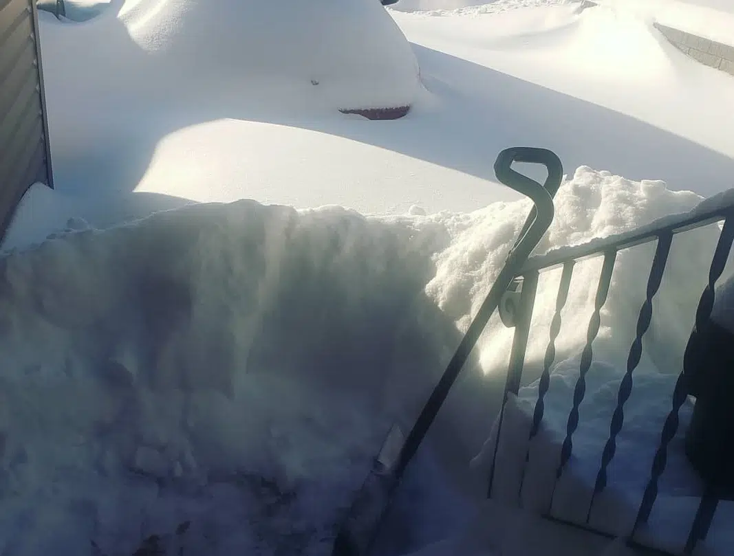 And the snow continues to fall in some parts of Saskatchewan | Country ...