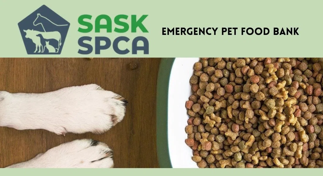 Day Of Awareness For Emergency Pet Food Bank | 98COOL