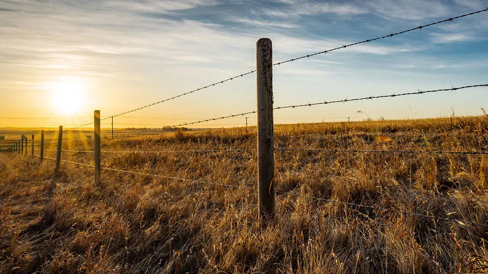 Saskatoon Records Second Driest Year on Record | Country 600 CJWW