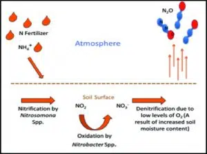 Agriculture and Agri-Food Canada seeks input on reducing fertilizer ...