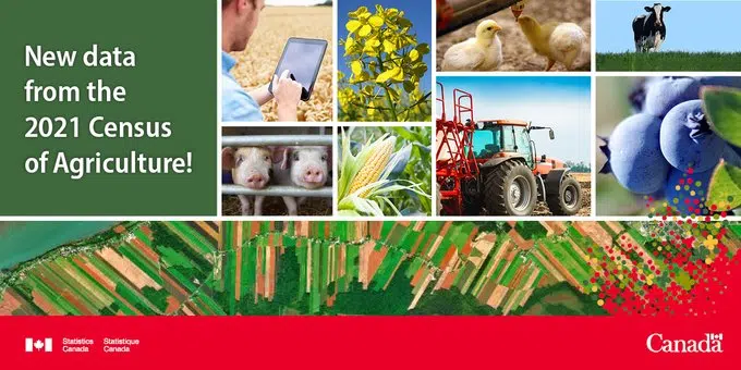 2021 Census of Agriculture Highlights | Country 600 CJWW