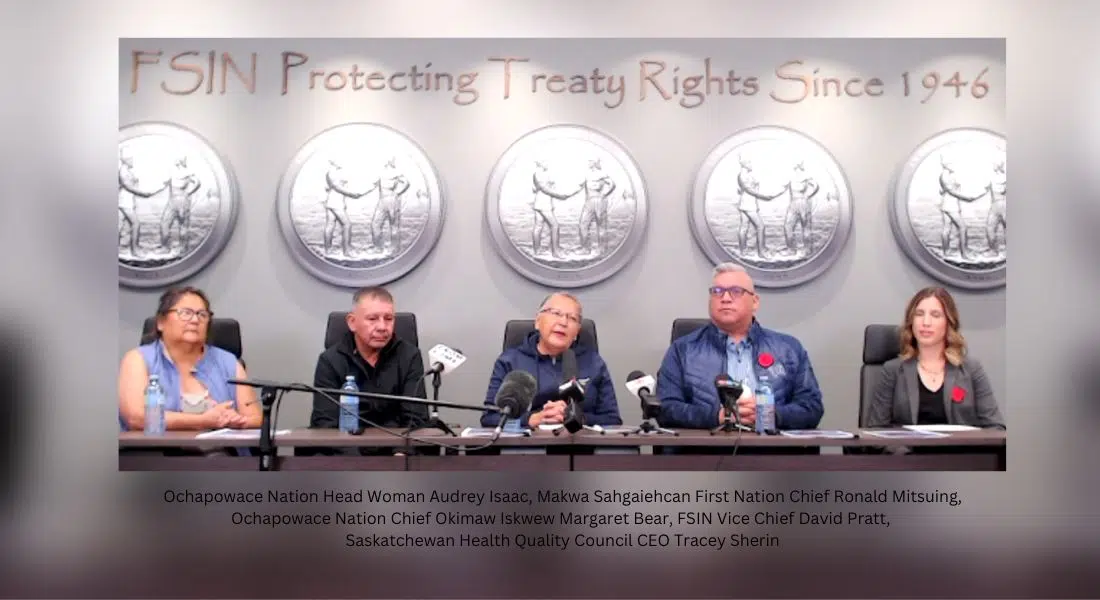 FSIN says it is time for action to stem First Nations suicides and self ...
