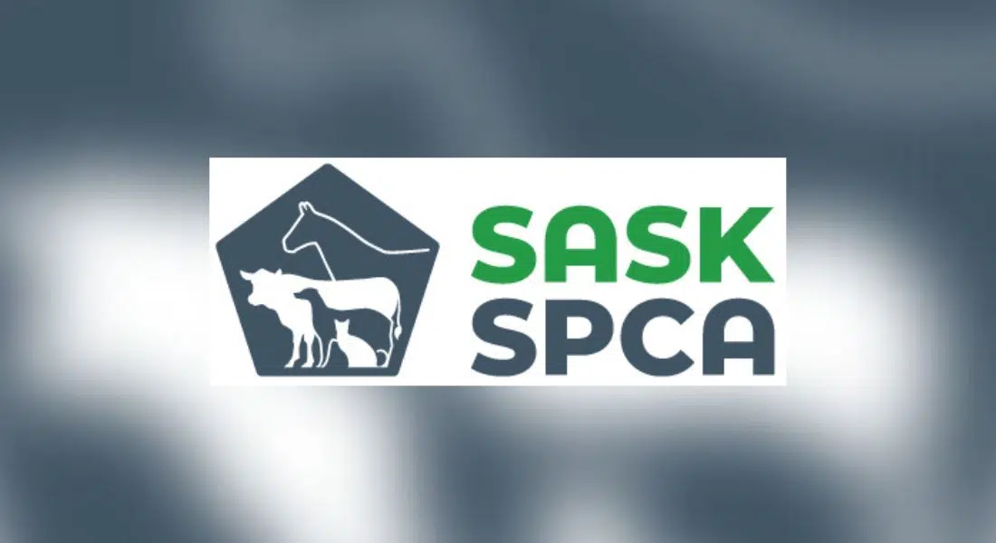 Saskatchewan SPCA Cultivating Wellness | 92.9 The Reindeer