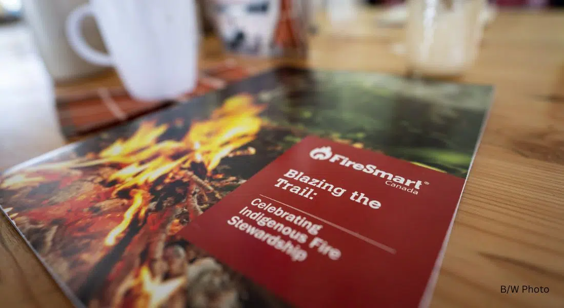 Teaching traditional fire practice of using fire to rejuvenate the land ...