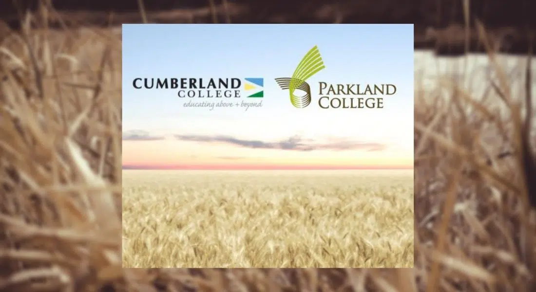 Two Saskatchewan colleges set to merge and form Suncrest College ...