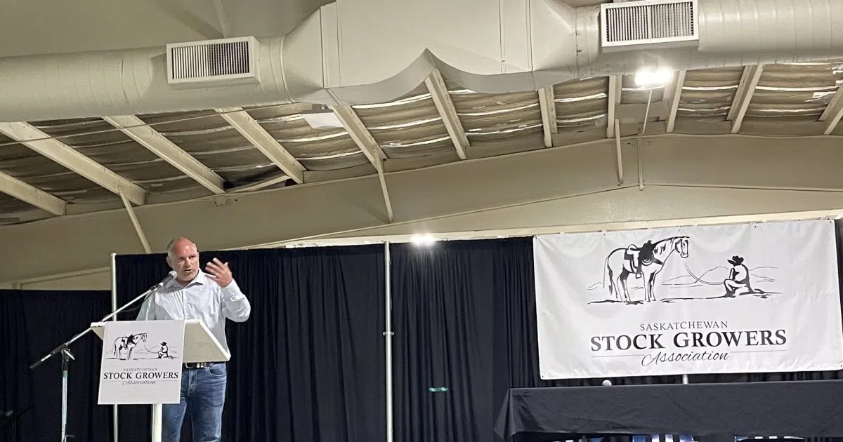 Identifying forage efficient cattle | Country 600 CJWW