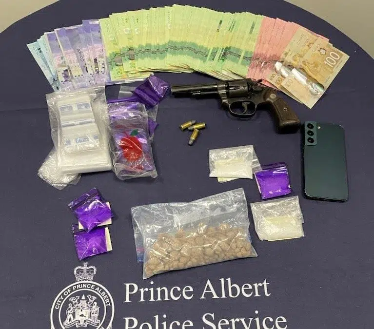 Prince Albert man faces numerous drug trafficking and weapon-related ...