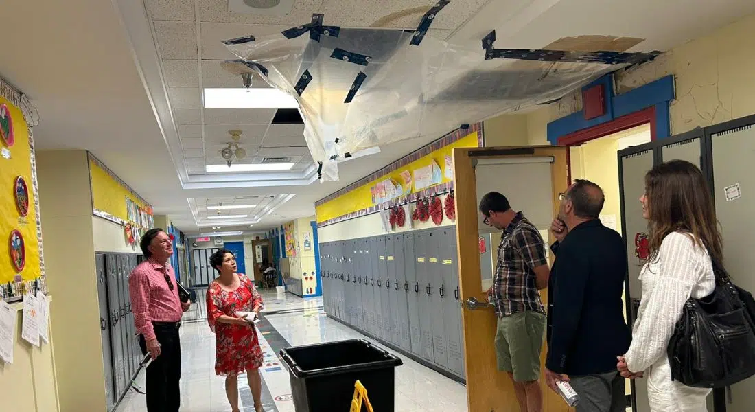 NDP compares quick action for pronoun policy to lack of action for ...