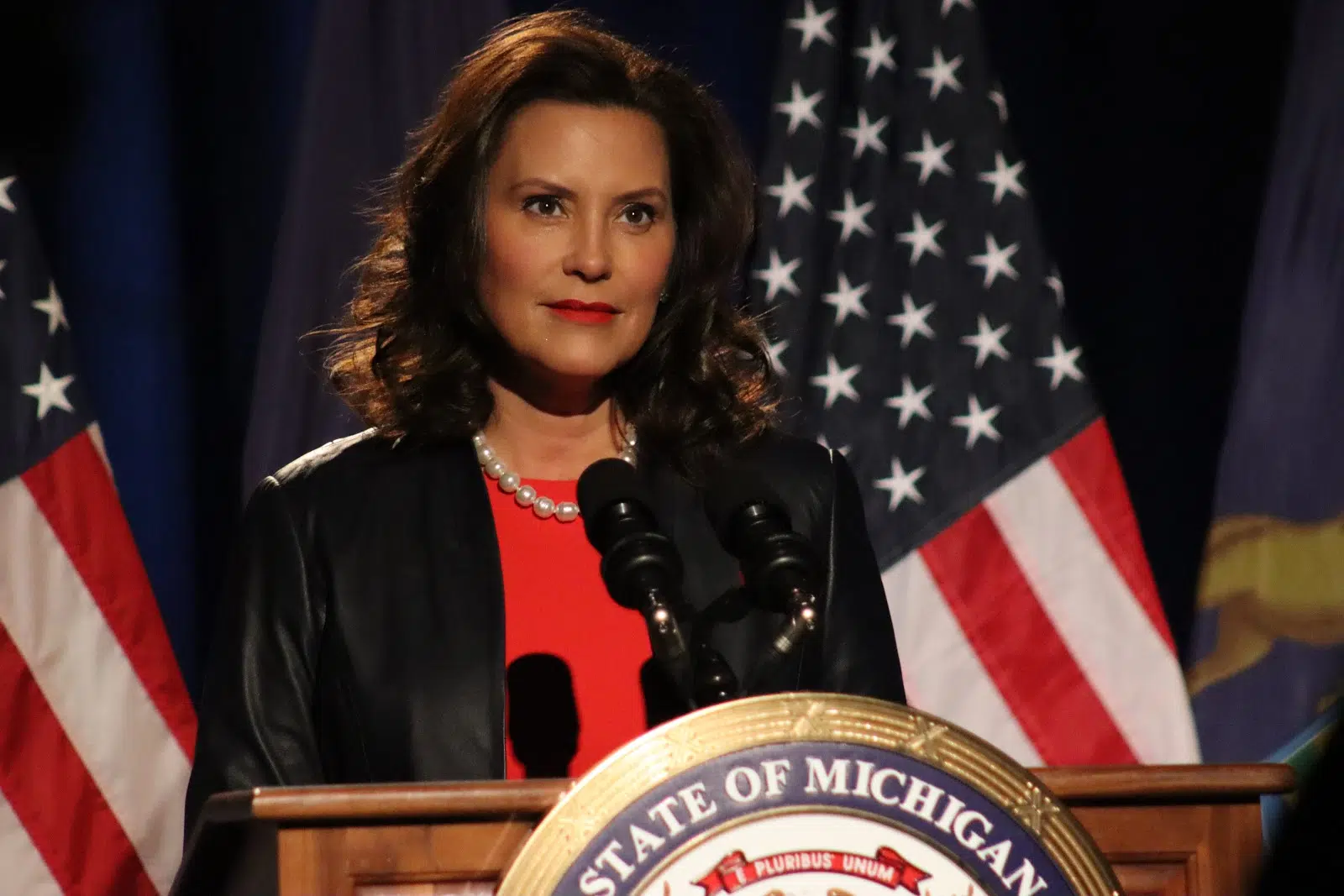 Whitmer Delivers Democratic National Convention Speech ...