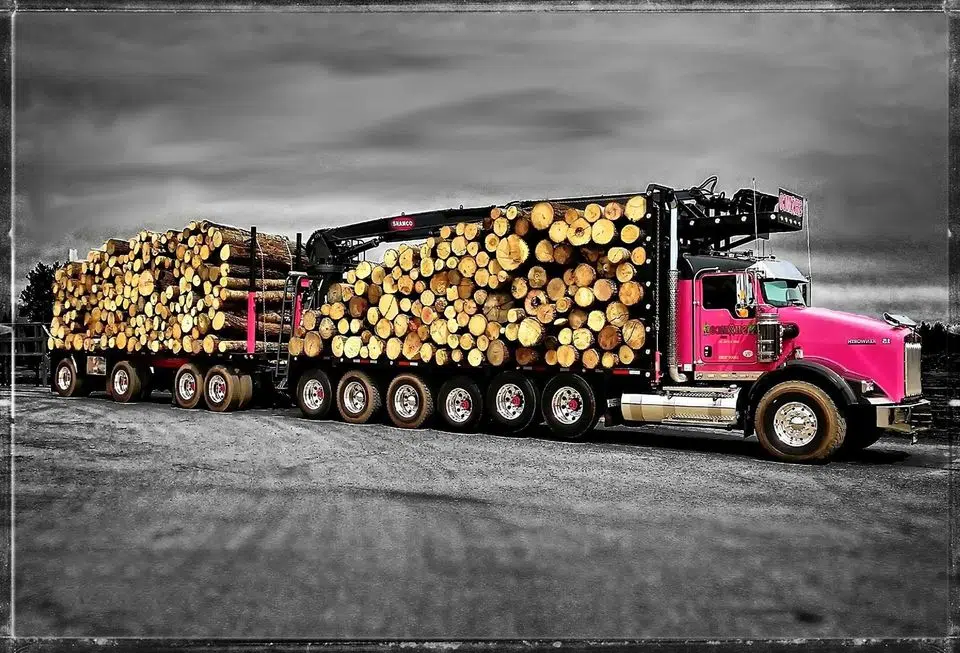 Iron River Sawmill Getting $50,000 State Grant To Expand ...