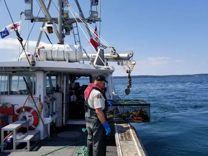 DFO Meteghan Officers On Patrol | Y95.5