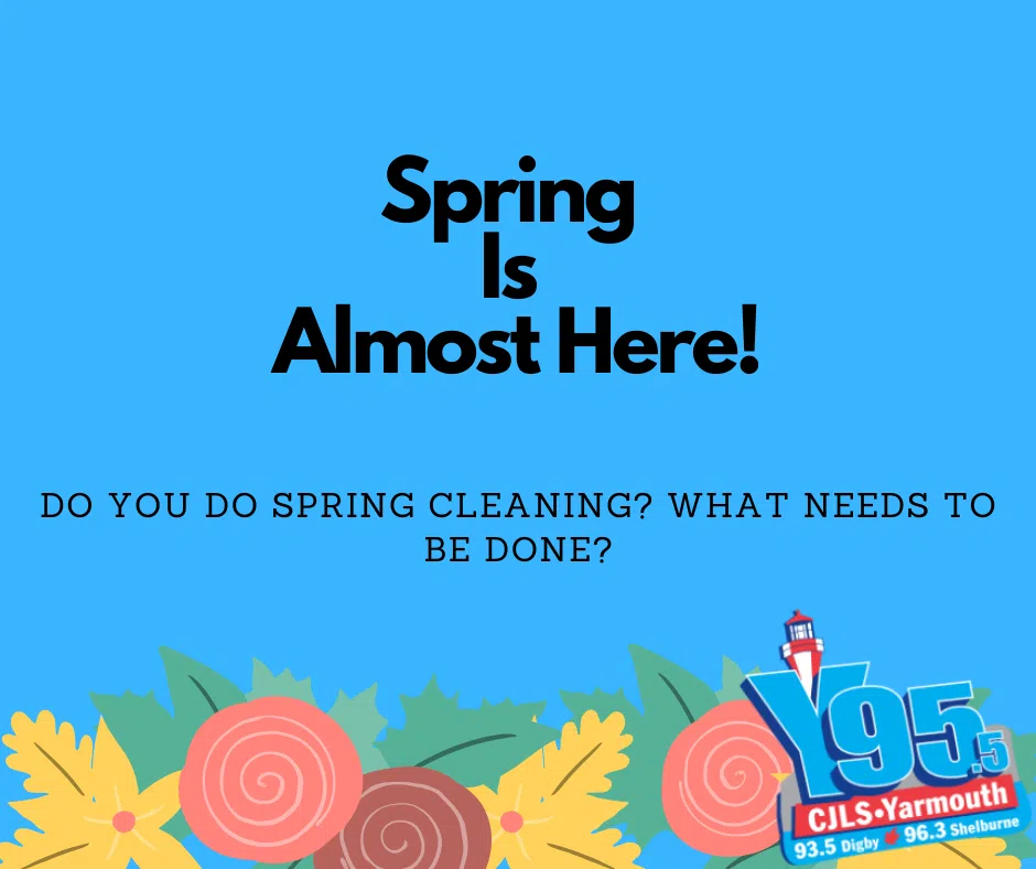 Tomorrow Is The First Day Of Spring! What Spring Cleaning Needs To Be ...