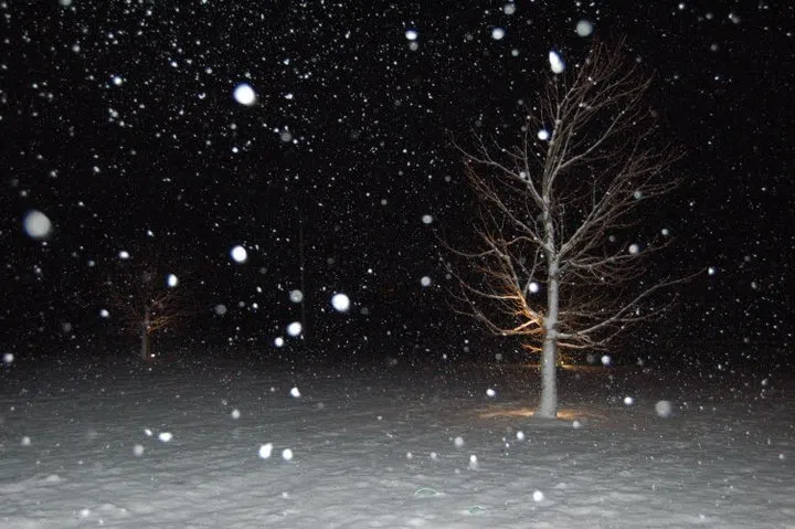 Coldest Night Of The Year Walk Sets Out In Late February | Y95.5