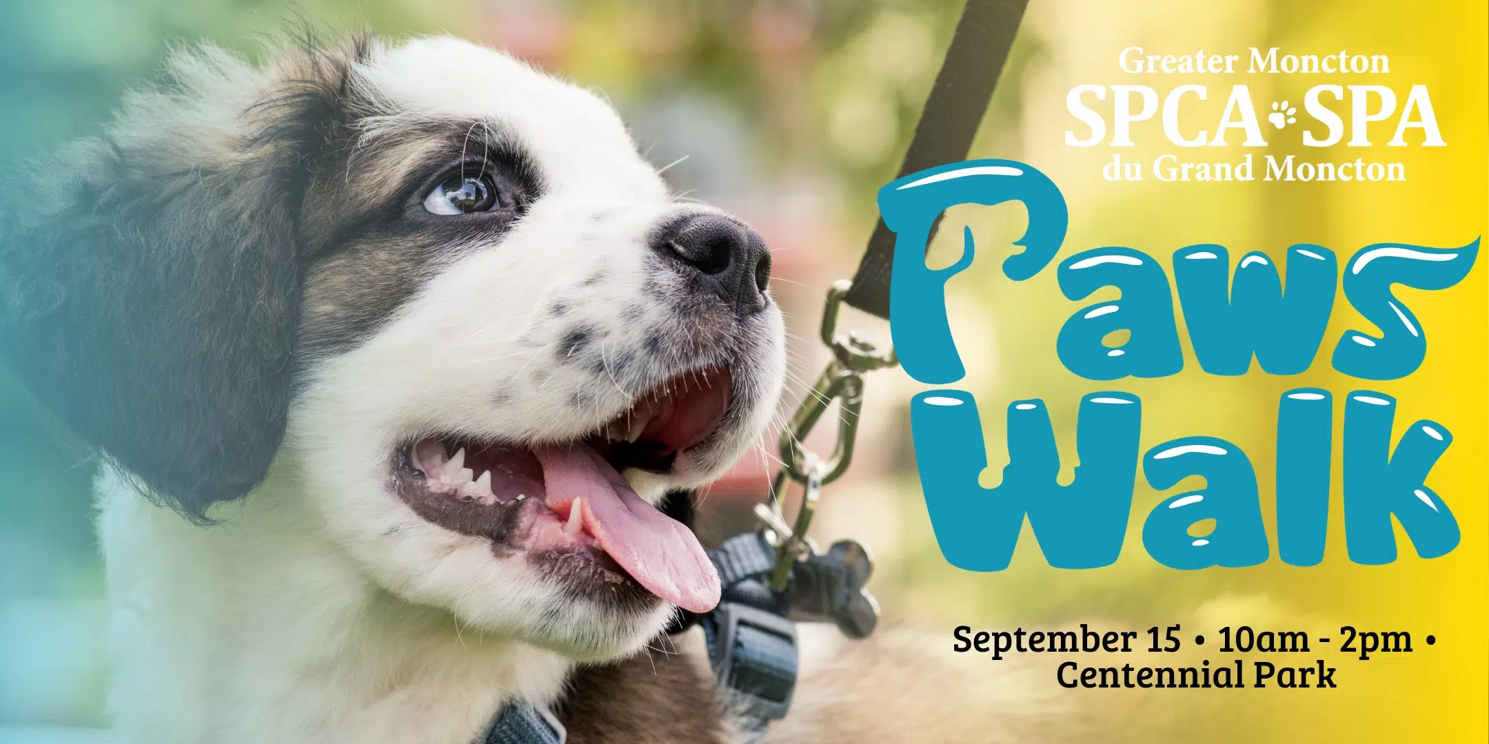 SPCA Paws Walk | 91.9 The Bend