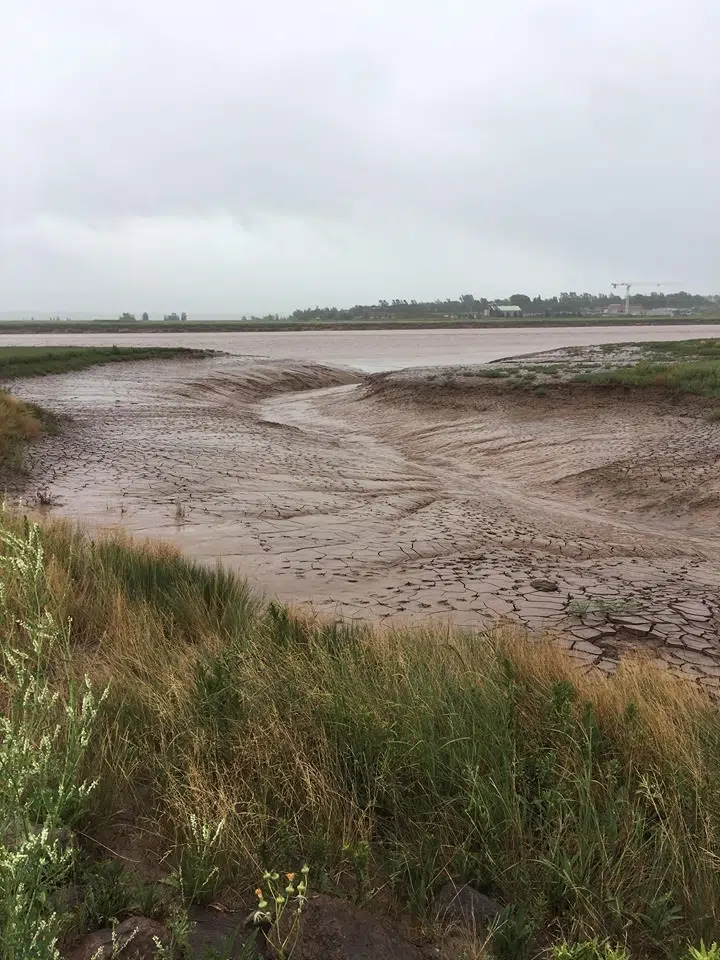 Visions Shared At Meeting Focused On Petitcodiac River | 91.9 The Bend