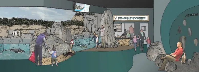 Magnetic Hill Zoo Expansion Plans Unveiled | 91.9 The Bend