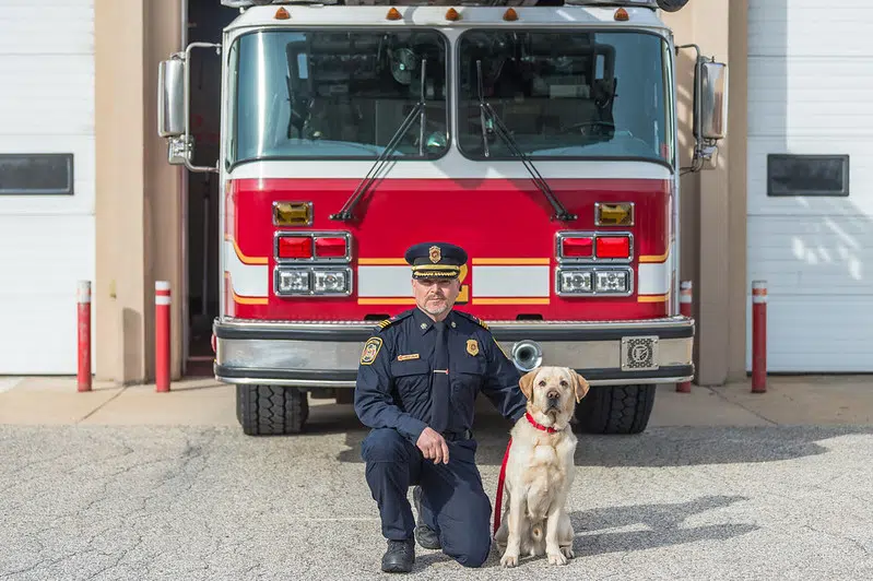 New Four Legged Member Of Moncton Fire Department | 91.9 The Bend