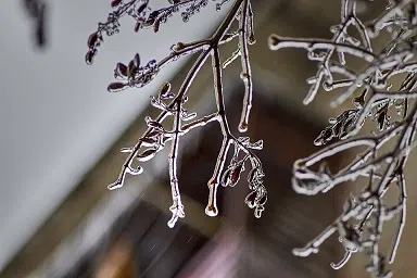 Forecast Shows Freezing Rain, Ice Pellets | 97.3 The Wave