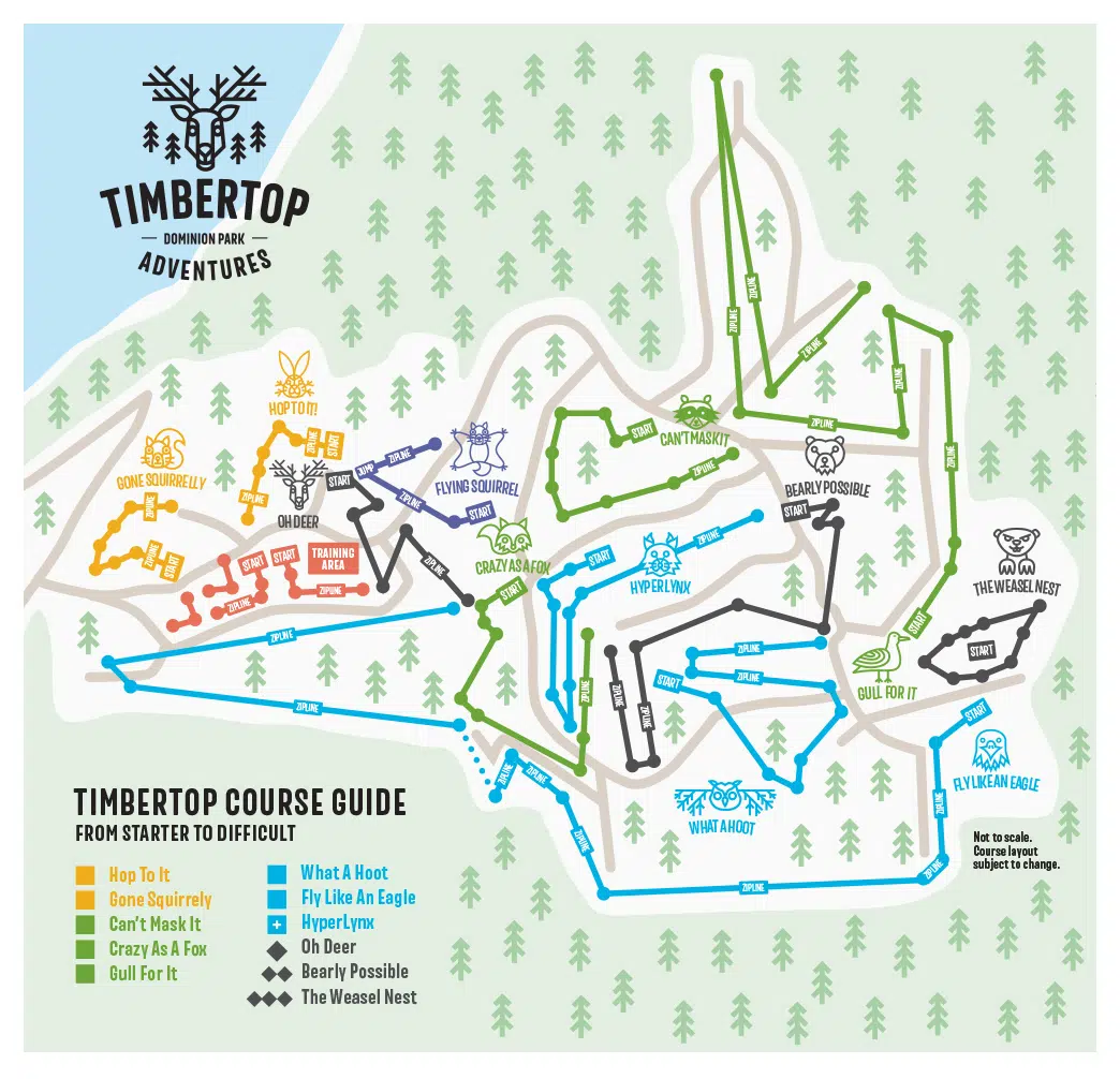 #SaintAwesome Summer: TimberTop Adventures | 97.3 The Wave