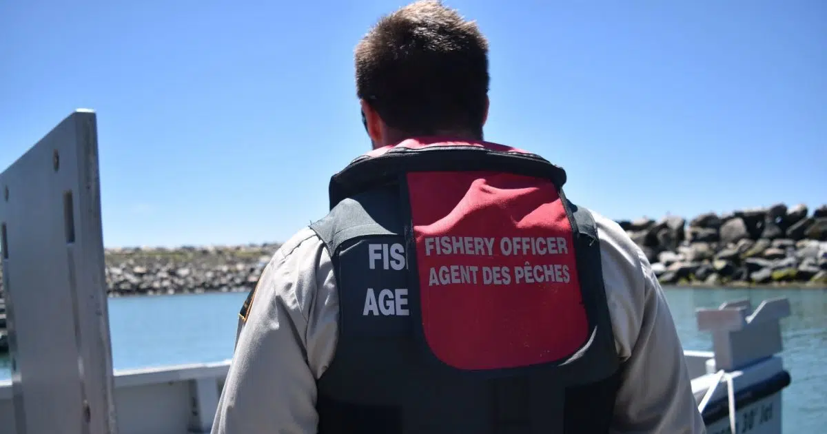 DFO Looking To Hire 200 Officers In Three Years | 97.3 The Wave