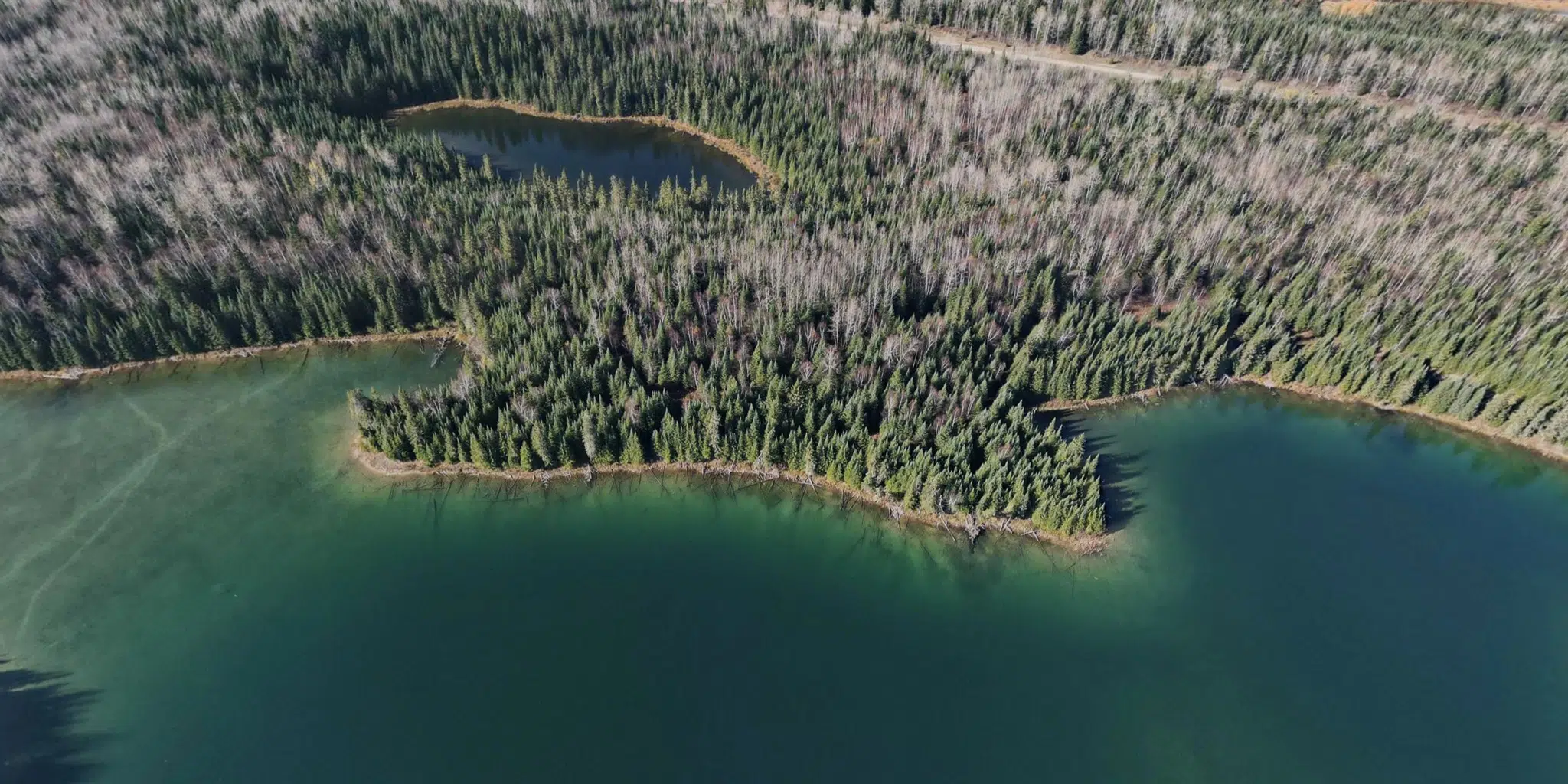 Canada’s Largest Conservation Effort In History | 101.5 The Hawk